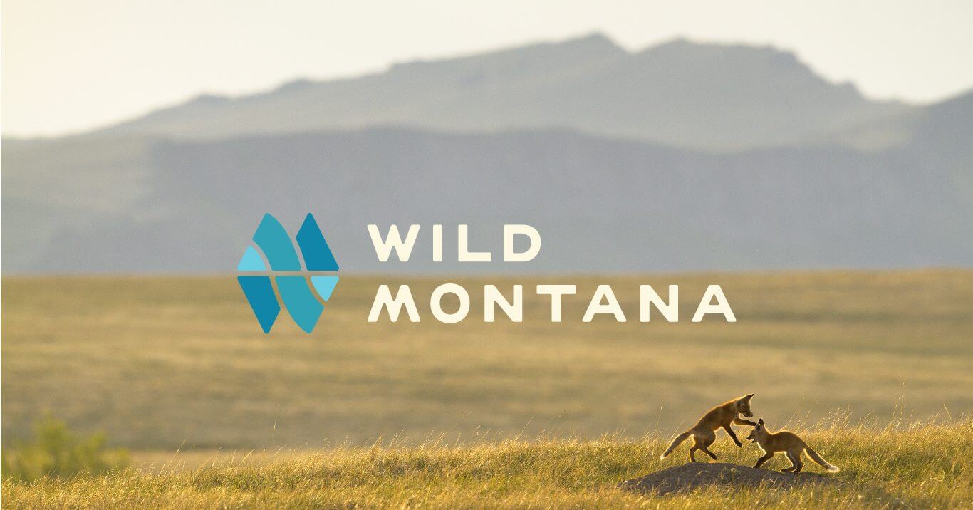 Pres. Trump Declares Sham “Energy Emergency” – Wild Montana