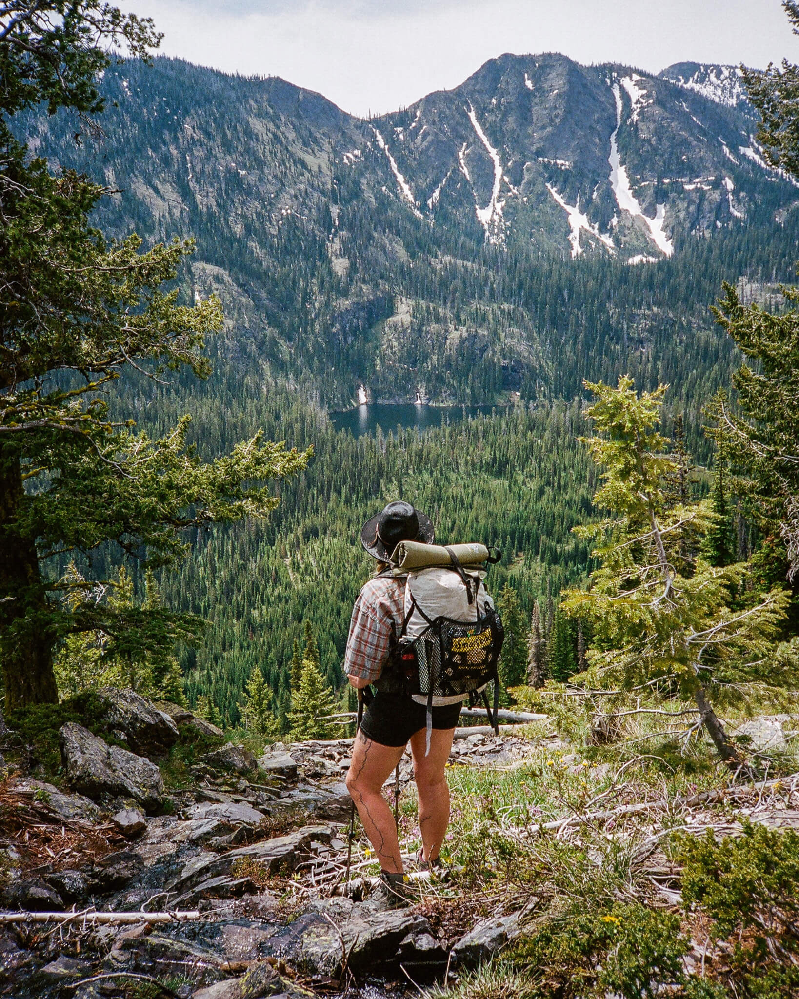 Explore the Land of the Shining Mountains – Wild Montana