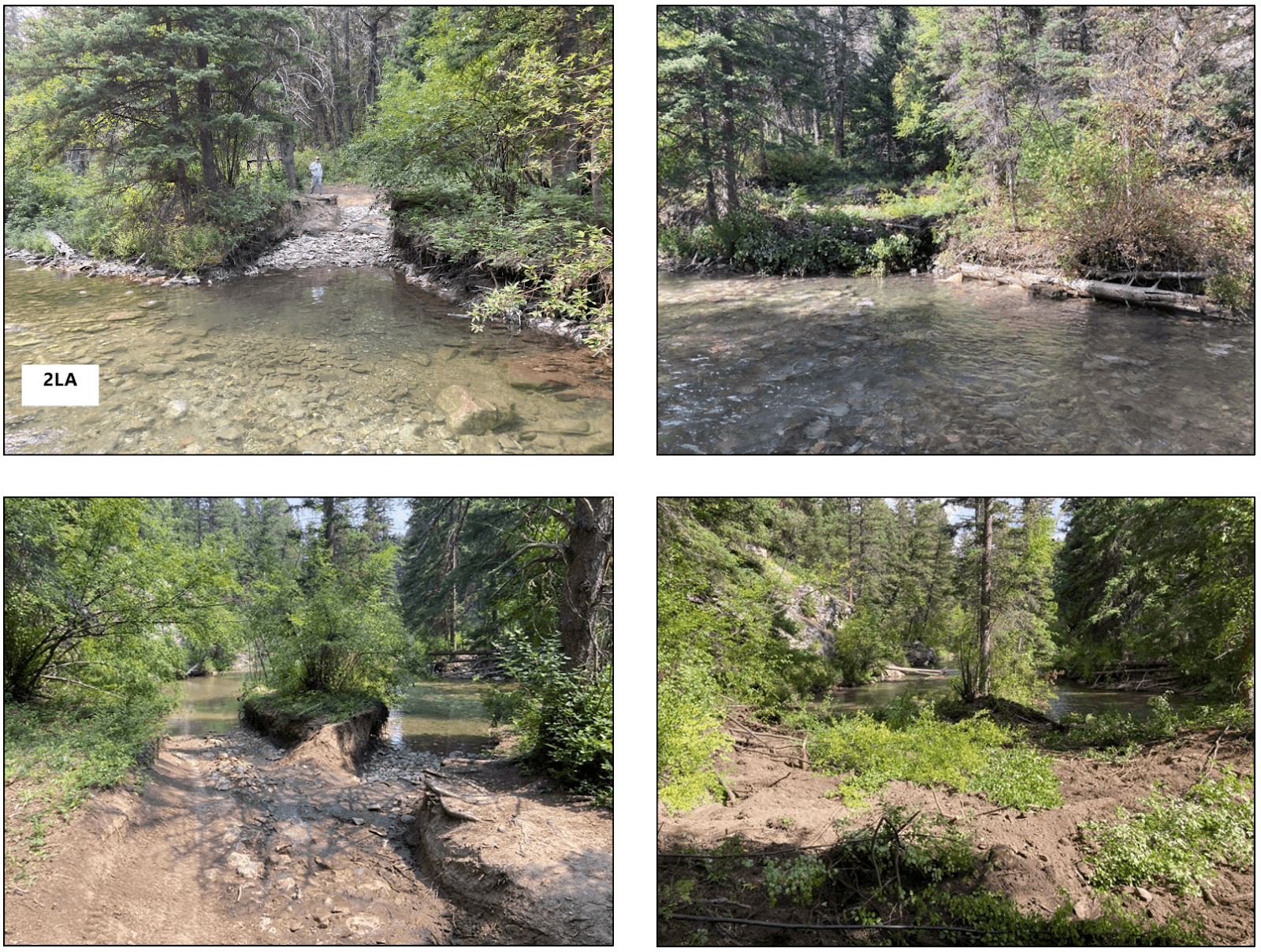 9 Big Wins for Public Lands and Conservation in Montana in 2023 – Wild ...