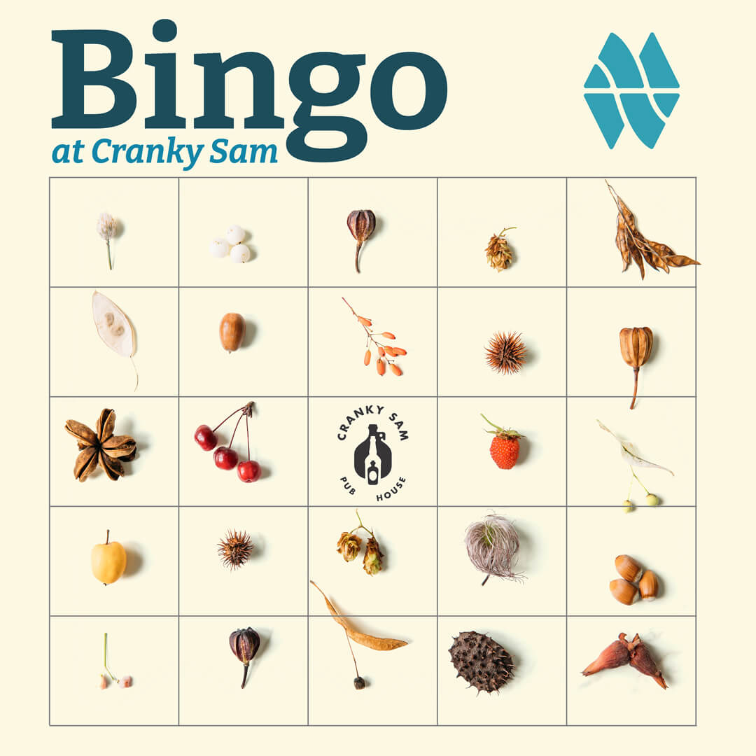 Bingo Night at Cranky Sam – Wild Montana