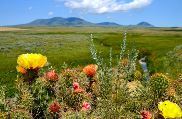 Montana’s Best Spring Hikes – Wild Montana