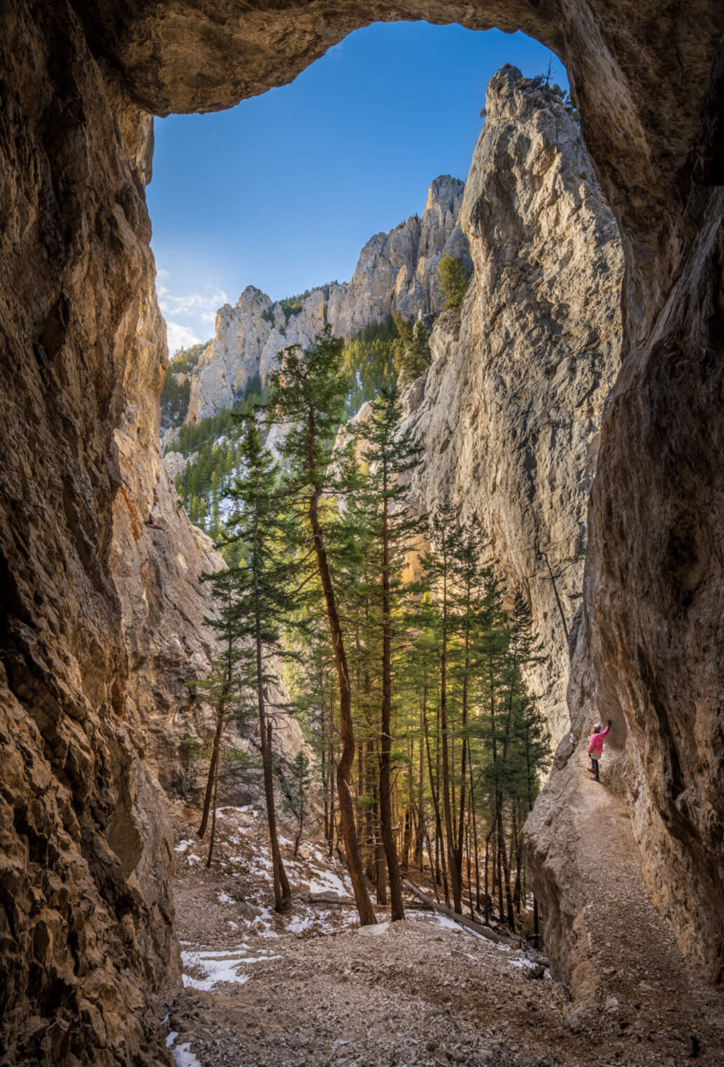 Announcing Winners of the 14th Annual Picture Wild Montana Photo ...