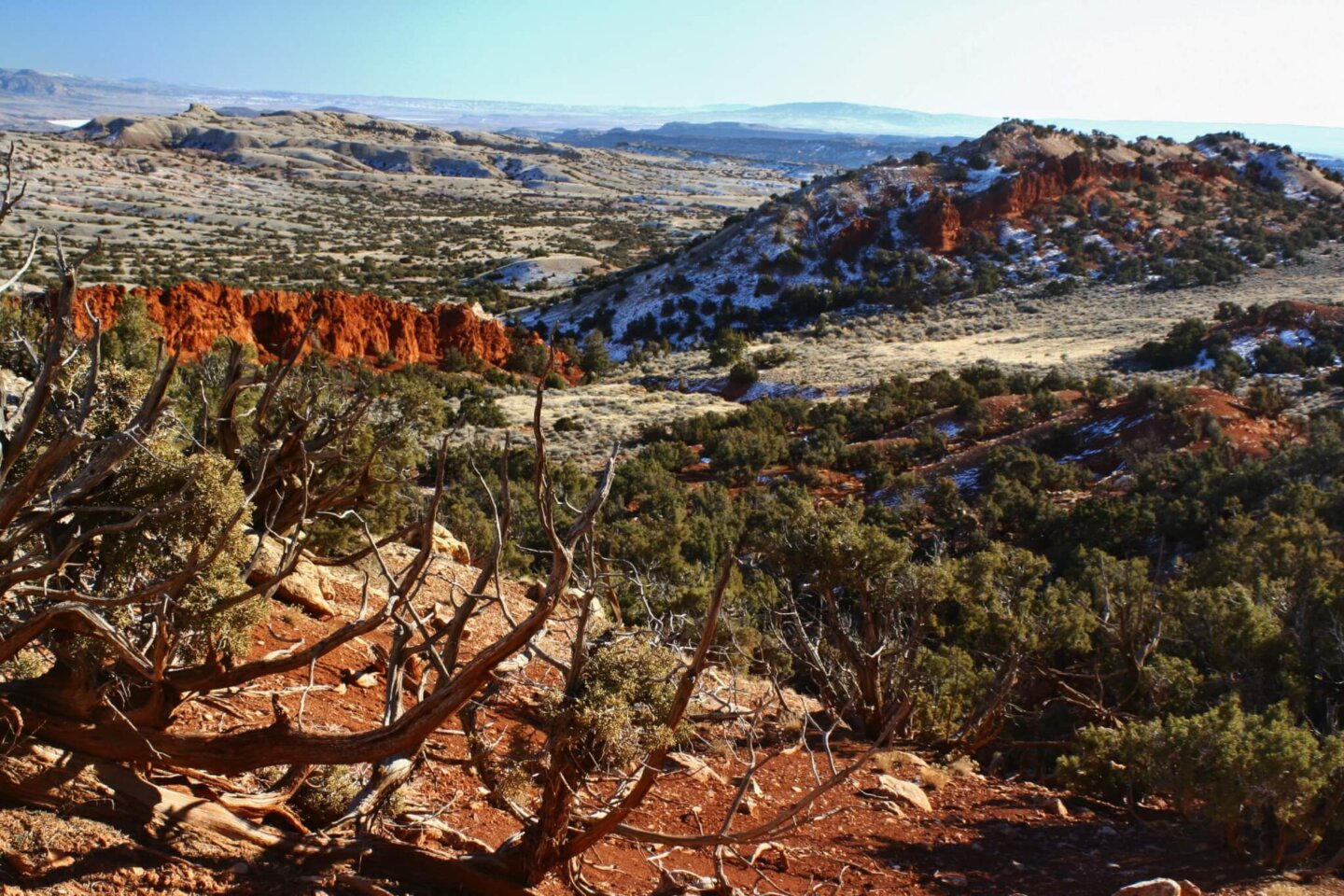 Get Your Hands on a Landmark Map of the Pryor Mountains – Wild Montana