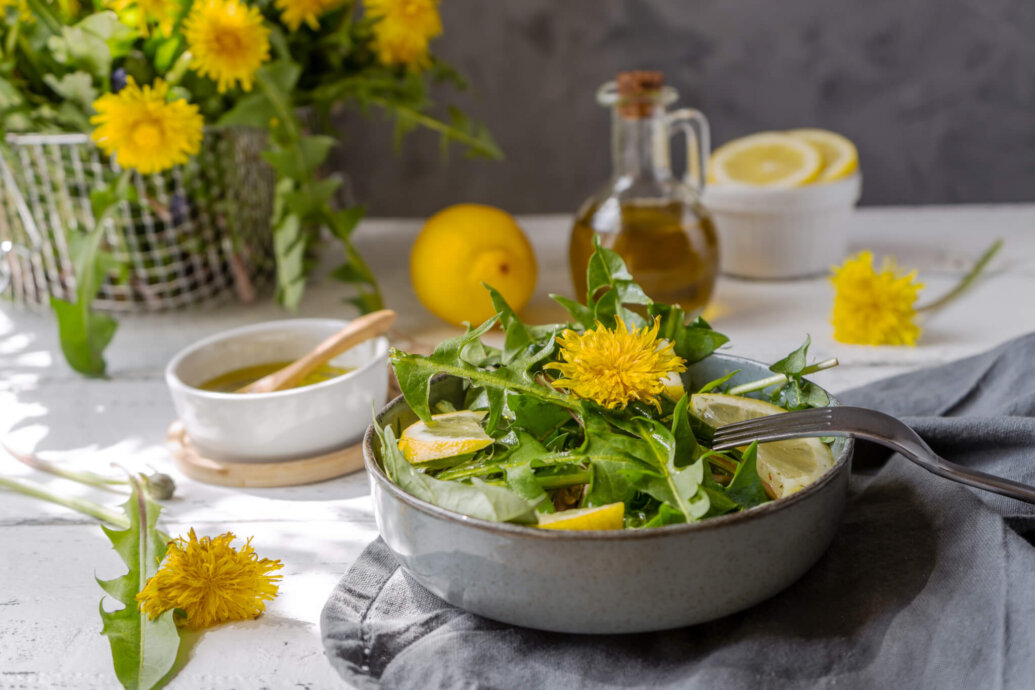 How to Harvest and Eat the Common Dandelion – Wild Montana
