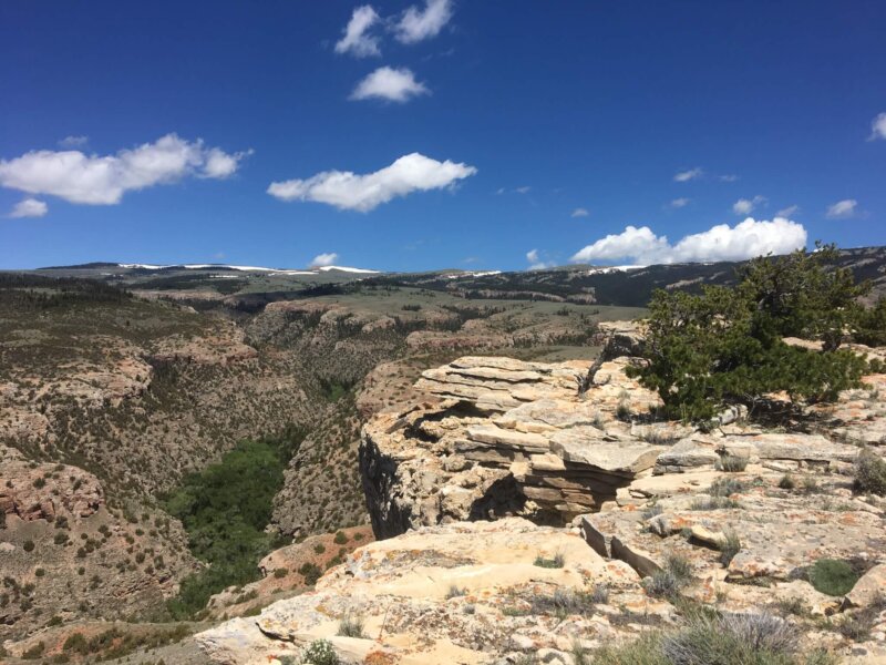 Get Your Hands on a Landmark Map of the Pryor Mountains – Wild Montana