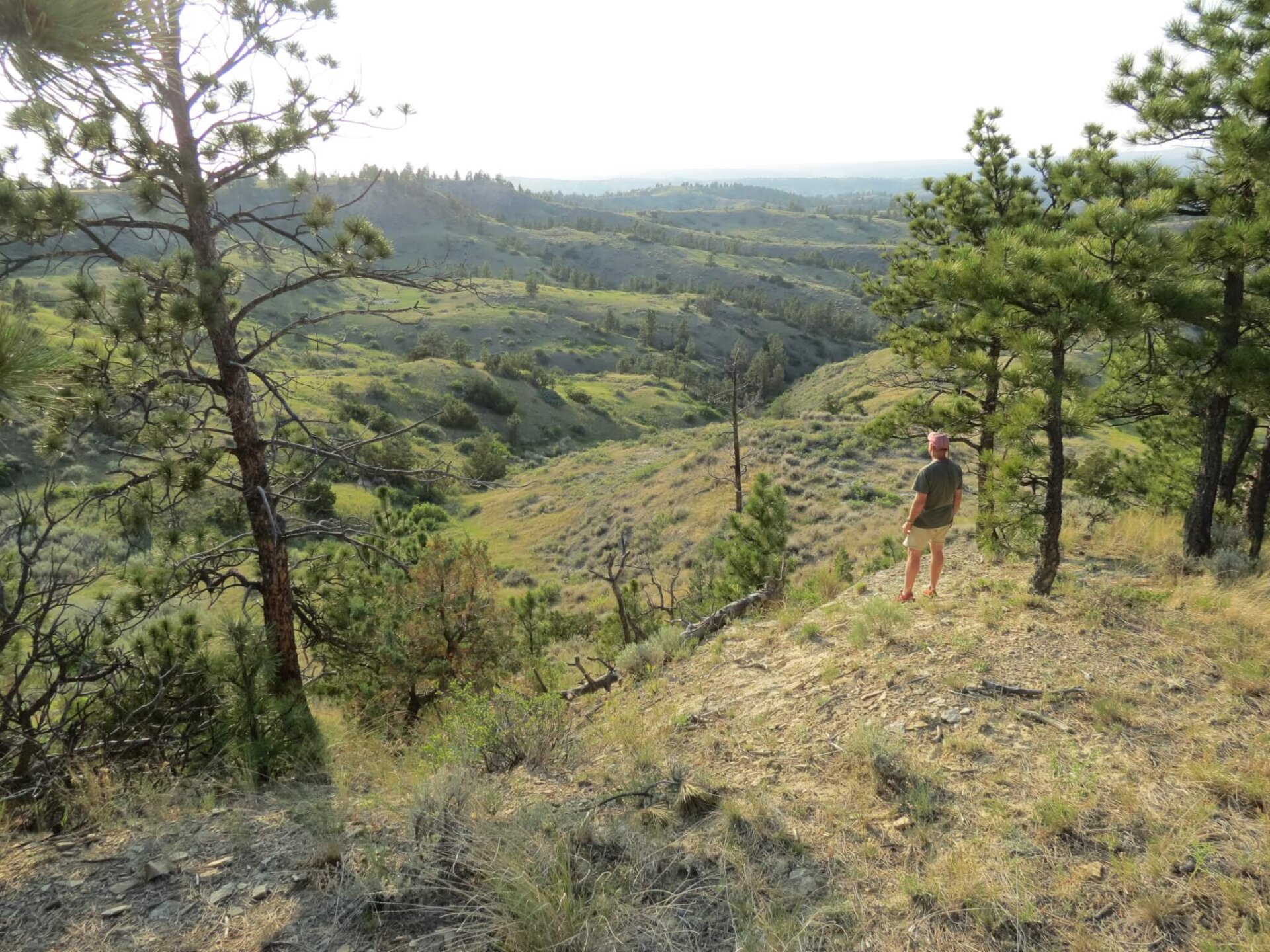 Trail of the Week: Musselshell Breaks Wilderness Study Area – Wild Montana