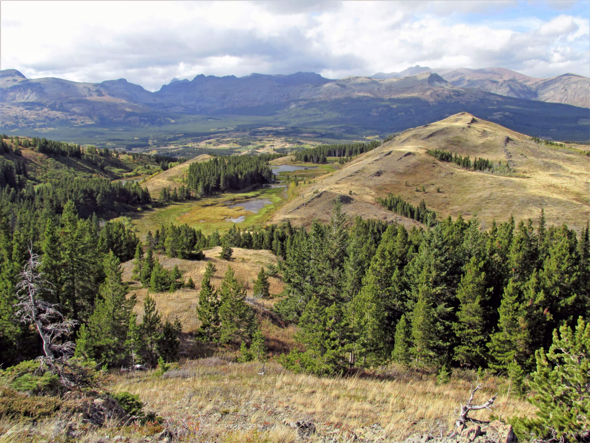 The Badger-Two Medicine is Permanently Lease-free – Wild Montana