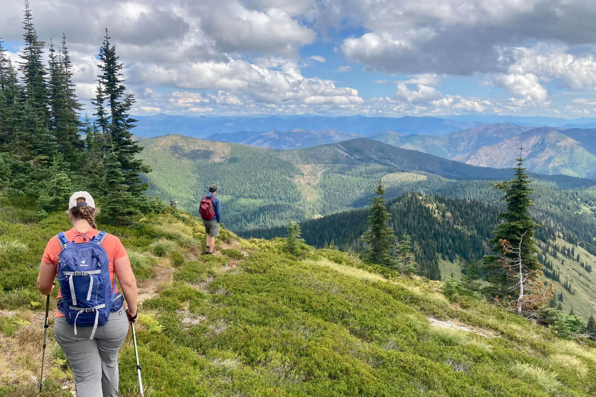 Trail of the Week: Jumbo Peak – Wild Montana
